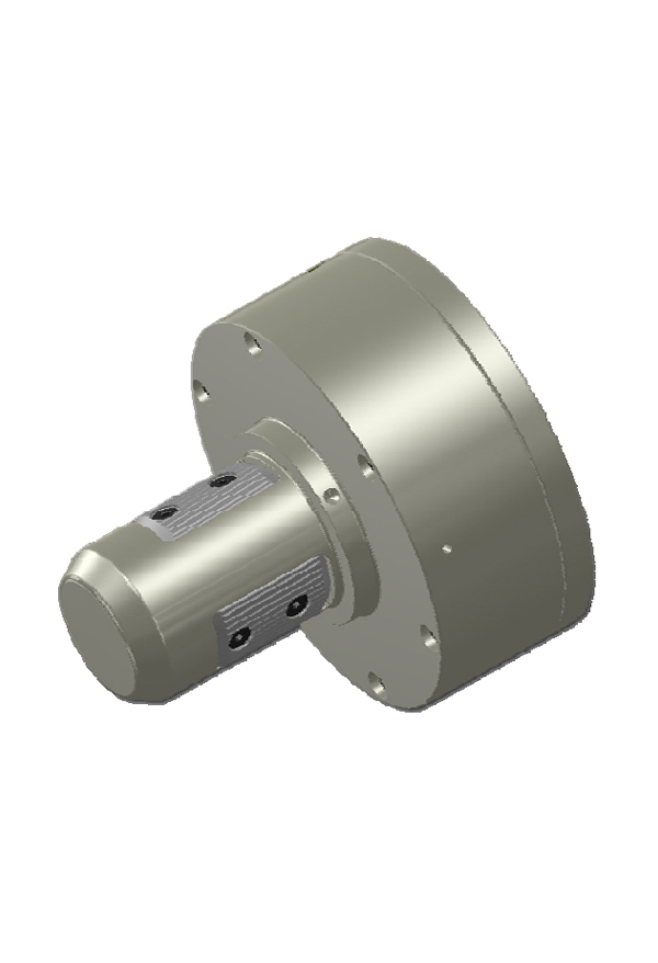 core chucks | DIENES USA